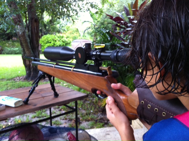 the daystate sportsman mk2